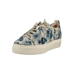Paul Green Sneaker in Blau | Gr.: 38,5