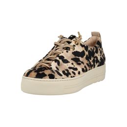 Paul Green Sneaker in Leopard | Gr.: 38,5