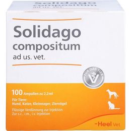 Heel Solidago Compositum ad us.vet.Ampullen 100 St
