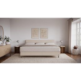BRUNO Familienbett 240x200cm in Beige | XXL Boxspringbett Premium | mehrfach ausgezeichnet in Design & Qualit&auml;t