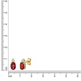 Firetti Damen Paar Ohrstecker "Schmuck Geschenk Gold 333 Ohrschmuck Ohrringe", Gelbgold 333gelbgoldfarben, rot, kristallwei&szlig;, rot, kristallwei&szlig;,