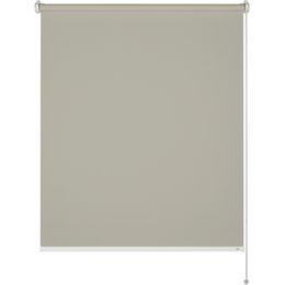 Sch&ouml;ner Wohnen Kollektion Seitenzugrollo, B:45cm H:150cm, beige, SCH&Ouml;NER WOHNEN-KOLLEKTION, Polyester, Rollos, "Tageslichtrollo Tizia", geklebt, geklemmt, silberne oder wei&szlig;e