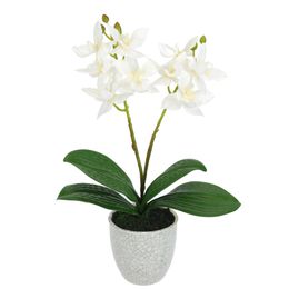 Kunstorchidee I.GE.A., B:14cm H:30cm L:14cmwei&szlig;, Polyester, Kunstpflanzen, "K&uuml;nstliche Orchidee mit Topf", Dekoblume im Keramiktopf mit Rissoptik