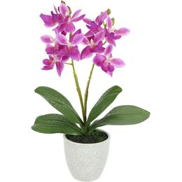 Kunstorchidee I.GE.A., B:14cm H:30cm L:14cmdunkelrosa, Polyester, Kunstpflanzen, "K&uuml;nstliche Orchidee mit Topf", Dekoblume im Keramiktopf mit