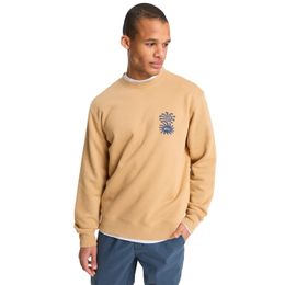 Quiksilver Herren Sweatshirt "Salt Water Graphic"khaki, Gr. S, Obermaterial: 55% Walkfrottier, 25% Walkfrottier, 20% Microfaser;, Sweatshirts
