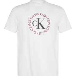 Herren T-Shirt, wei&szlig;, Gr. L, Calvin Klein Jeans, unifarben, Web, Obermaterial: 100% Baumwolle, Shirts, Regular fit mit Rundhalsausschnitt
