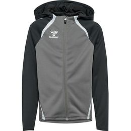 Hummel Athletic Zip-Up Hoodie 'Ead 2.0' boy Grey size 116