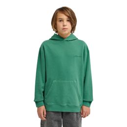 Kapuzensweatshirt Element "Cornell 3.0", Jungen, Gr. 10(140-148cm), gr&uuml;n (fir), Obermaterial: 50% Baumwolle, 30% Baumwolle, 20% Polyester., Sweatshirts