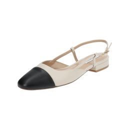 Steve Madden Damen Ballerina "Steve Madden Ballerinas Leder", Gr. 38bone, Leder, Schuhe