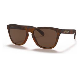 Oakley Frogskins zubeh&ouml;r Unisex braun