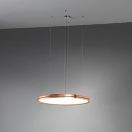 B.Lux Lite Hole Pendelleuchte, LED, 755334,