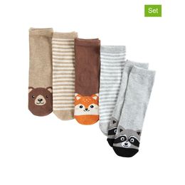 COOL CLUB 5er-Set: Socken in Hellbraun/ Grau - 25% | Gr&ouml;&szlig;e 22/24 | Babysocken-strumpfhosen