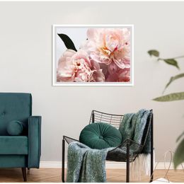 queence Bild &raquo;Runa&laquo; Blumen Blumenbilder Bl&auml;tterbilder Foto Kunst Rosen, gerahmt rosa Acrylglas, Holz, Papier