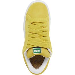 Puma in fresh pear/Puma white | Gr.: 37,5