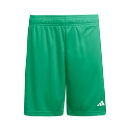 adidas Performance Workout Pants 'ENT26' boy Green size 140