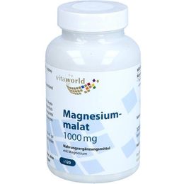 vitaworld MAGNESIUM-MALAT 1000 mg Kapseln 120 St