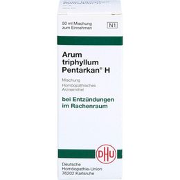 DHU-Arzneimittel Arum Triphyllum Pentarkan H Mischung 50 ml