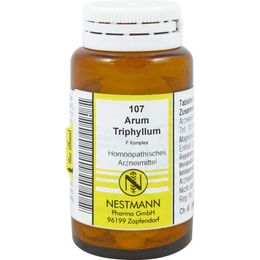 Nestmann Arum Triphyllum F Komplex Nr.107 Tabletten 120 St