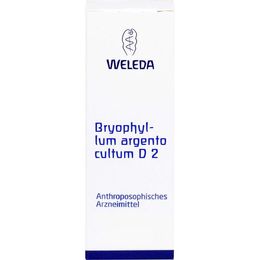 Weleda Bryophyllum Argento cultum D 2 Dilution 50 ml