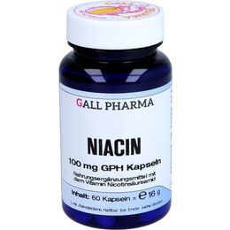 Hecht-Pharma Niacin 100 mg Gph Kapseln 60 St