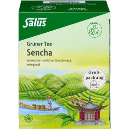Gr&uuml;ner Tee Bio Salus Filterbeutel Gro&szlig;packung 40 St