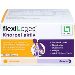 Dr. Loges + Co. GmbH Flexiloges Knorpel aktiv Kapseln 240 St
