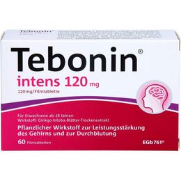 Tebonin intens 120 mg Filmtabletten 60 St