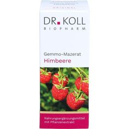 GEMMO-MAZERAT Himbeere Dr.Koll Rubus idaeus Tropf. 50 ml