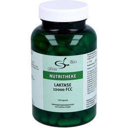 Nutritheke Laktase 12.000 Fcc Kapseln 120 St