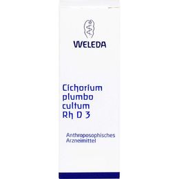 Weleda Cichorium Plumbo cultum Rh D 3 Dilution 20 ml
