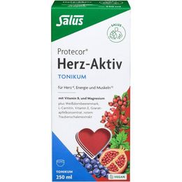 Salus Protecor Herz-Aktiv Spezial-Tonikum 250 ml
