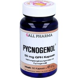 Hecht-Pharma Pycnogenol 50 mg Gph Kapseln 60 St