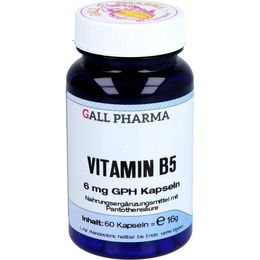 Hecht-Pharma Vitamin B5 6 mg Gph Kapseln 60 St