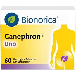 Canephron Uno &uuml;berzogene Tabletten 60 St