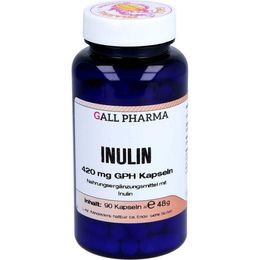 Hecht-Pharma Inulin 420 mg Gph Kapseln 90 St