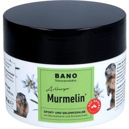 Murmelin Arlberger Murmeltiersalbe 200 ml