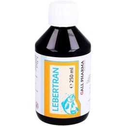 Hecht-Pharma Lebertran L&ouml;sung 250 ml