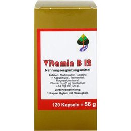 Vitamin B12 Kapseln 120 St