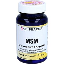 Hecht-Pharma Msm 500 mg Gph Kapseln 60 St