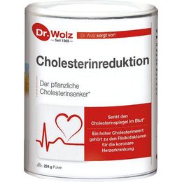 Dr. Wolz Zell GmbH Cholesterinreduktion Dr.Wolz Pulver 224 g