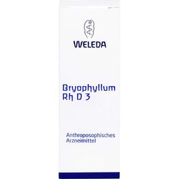 Weleda Bryophyllum Rh D 3 Dilution 20 ml