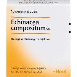 Heel Echinacea Compositum Sn Ampullen 10 St