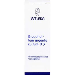 Weleda Bryophyllum Argento cultum D 3 Dilution 50 ml