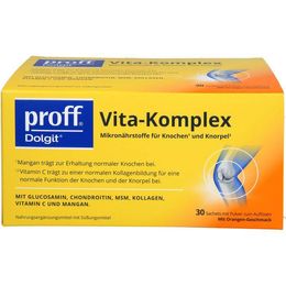 Dr.Theiss Proff Dolgit Vita-Komplex Pulver Sachets 30 St