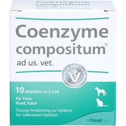 Heel Coenzyme Compositum ad us.vet.Ampullen 10 St