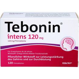 Tebonin intens 120 mg Filmtabletten 120 St