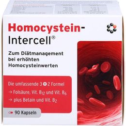 INTERCELL-Pharma GmbH HOMOCYSTEIN-Intercell Kapseln 90 St