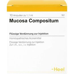 Heel Mucosa compositum Ampullen 10 St