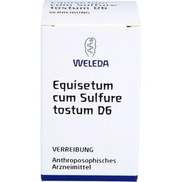 Weleda Equisetum Cum Sulfure tostum D 6 Trituration 20 g