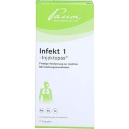 Pascoe Infekt 1-Injektopas Ampullen 20 ml